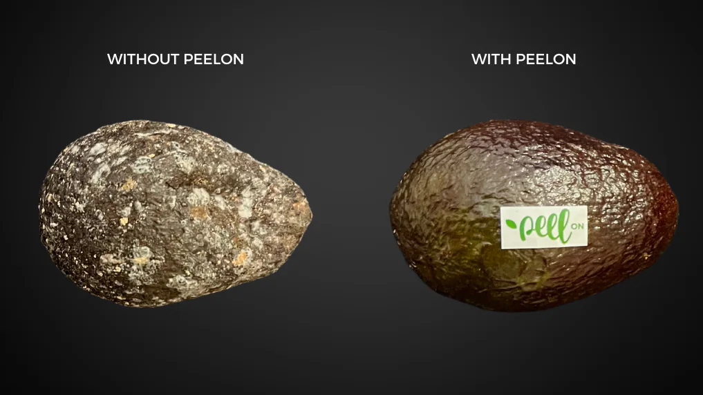 Houdbaarheid groente en fruit verlengen en tegelijk plastic verminderen ...
