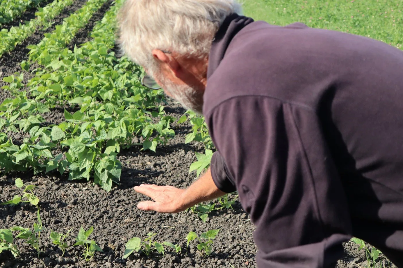 Vegan boter met de smaak van roomboter? Willicroft gebruikt fermentatie ...