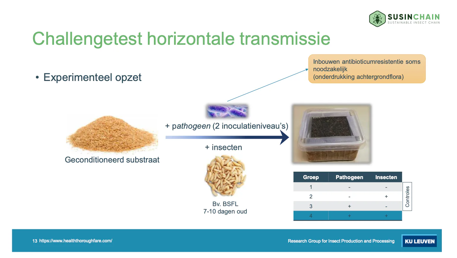 Stappenplan: microbiologische veiligheid van insecten tijdens kweek en ...