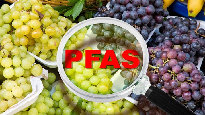 Europese wijnen zitten 'vol' met PFAS-restproduct trifluorazijnzuur (TFA), blijkt uit studie